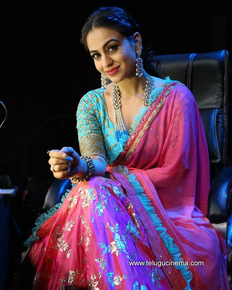 Aksha Pardasany in a saree | Page 2 | Telugu Cinema