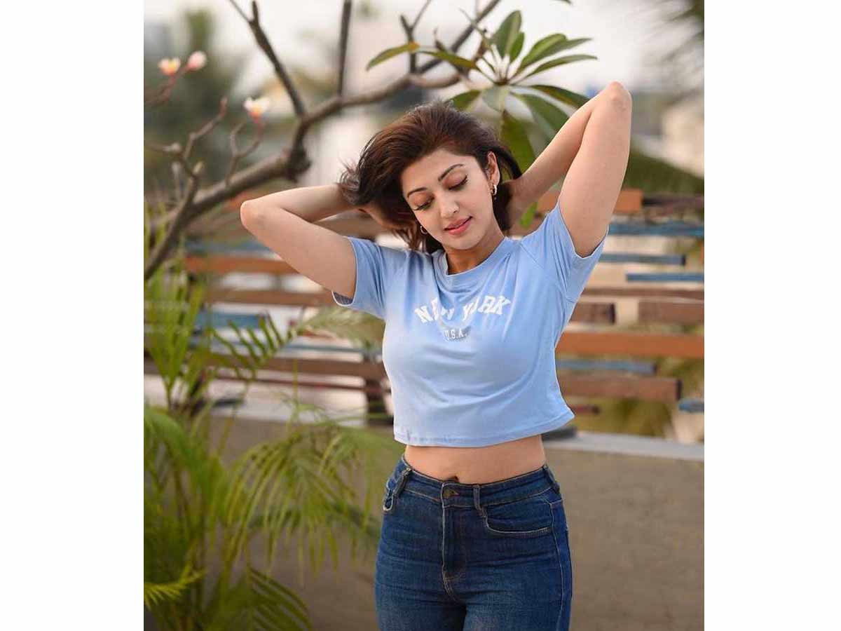 Pranitha denim pants and t shirt