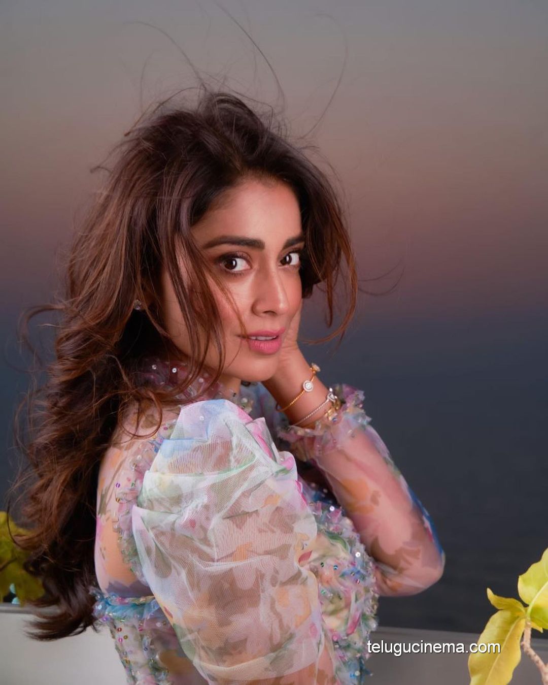 Shriya at Elle Awards event