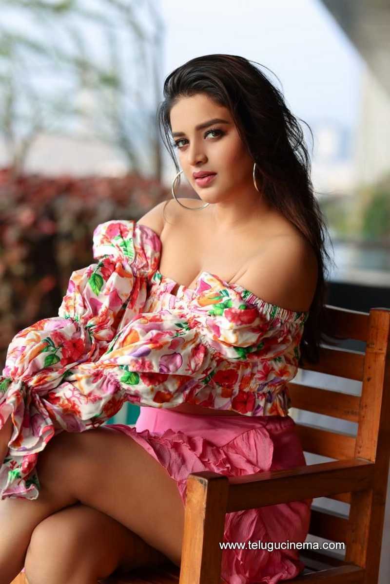 Big movies, long wait for Nidhhi Agerwal