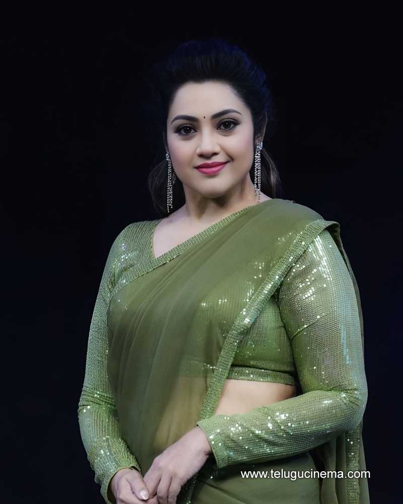 Meena in a green Saree | Telugu Cinema
