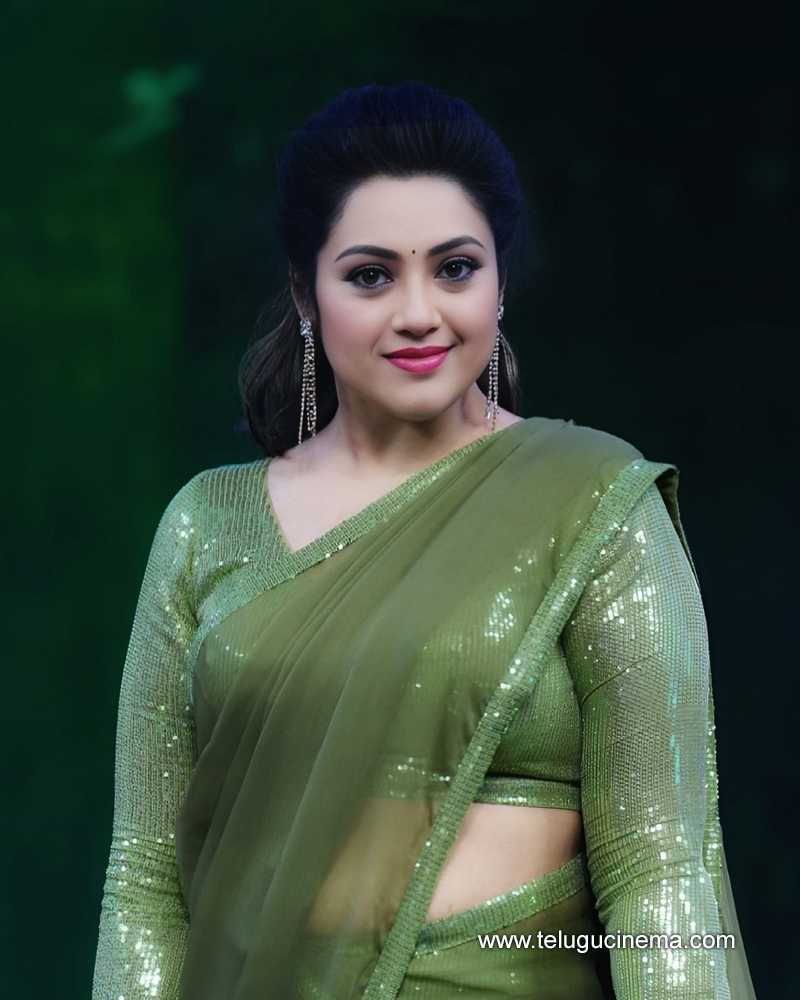 Meena in a green Saree | Telugu Cinema