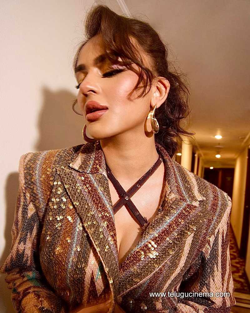 Seerat Kapoor’s outfit for an award show