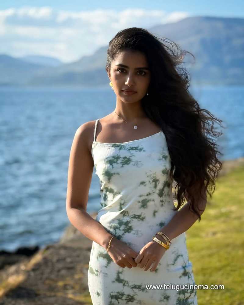Anupama Parameswaran’s journey
