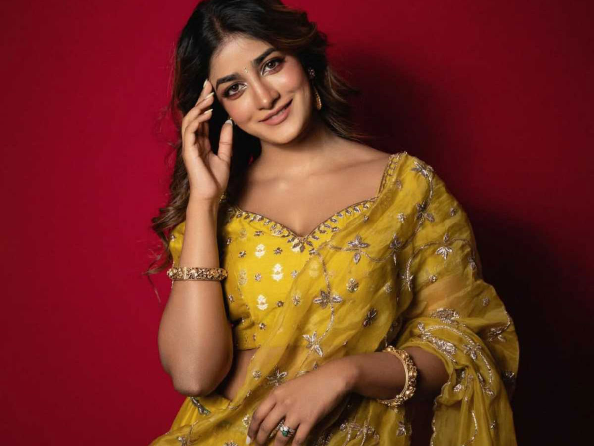 Dimple Hayathi's strong film background revealed